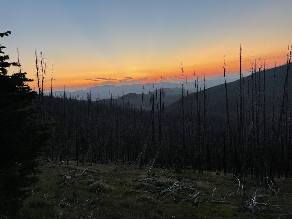 Truly One Foot In Front of the Other – CDT Edition – Page 3 – My ...